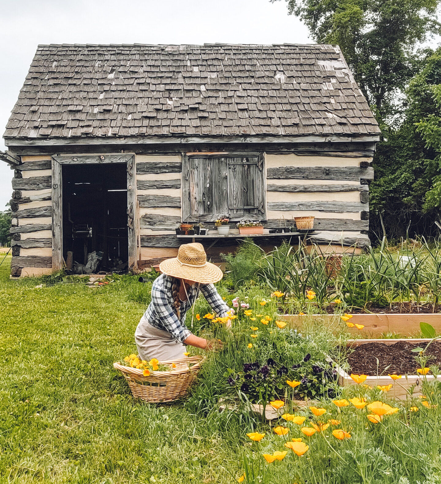 Welcome to the Garden Subscription! - Little Farm Folk